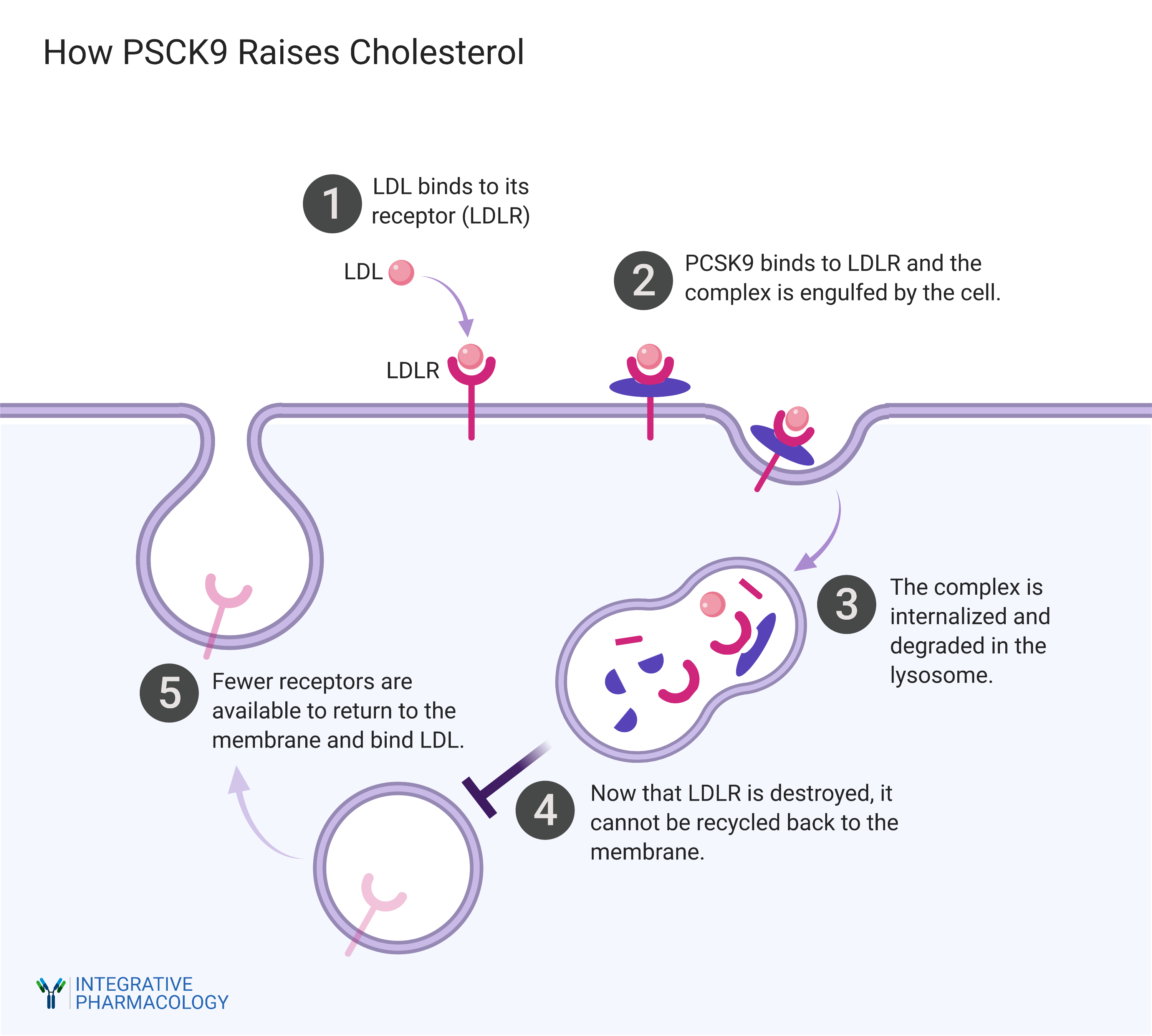 Lipid-Lowering PCSK9 Inhibitors – Integrative Pharmacology