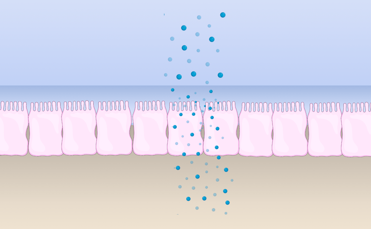When Good Absorption Doesn’t Matter – Integrative Pharmacology