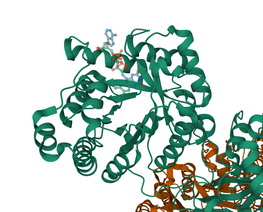 Low-Dose Riboflavin: A Forerunner of Evidence-Based Nutrigenomics ...