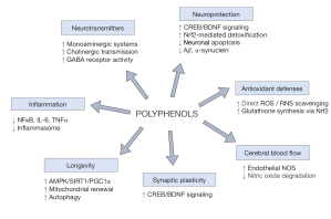 Natural MAO Inhibitors – Integrative Pharmacology